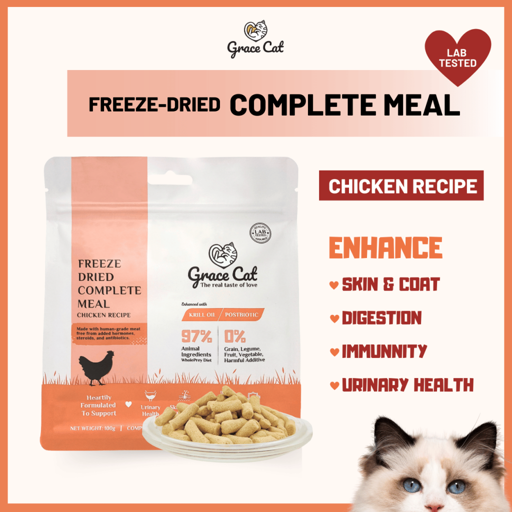 Menu & Harga KFC Malaysia (2024): Biasa & Sarapan