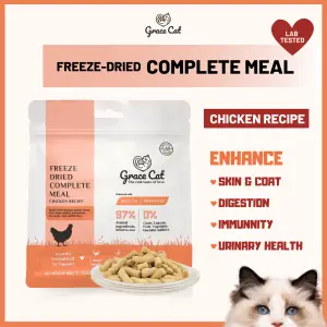 Best Halal Food in Melaka: 10 Muslim-friendly / Halal Places