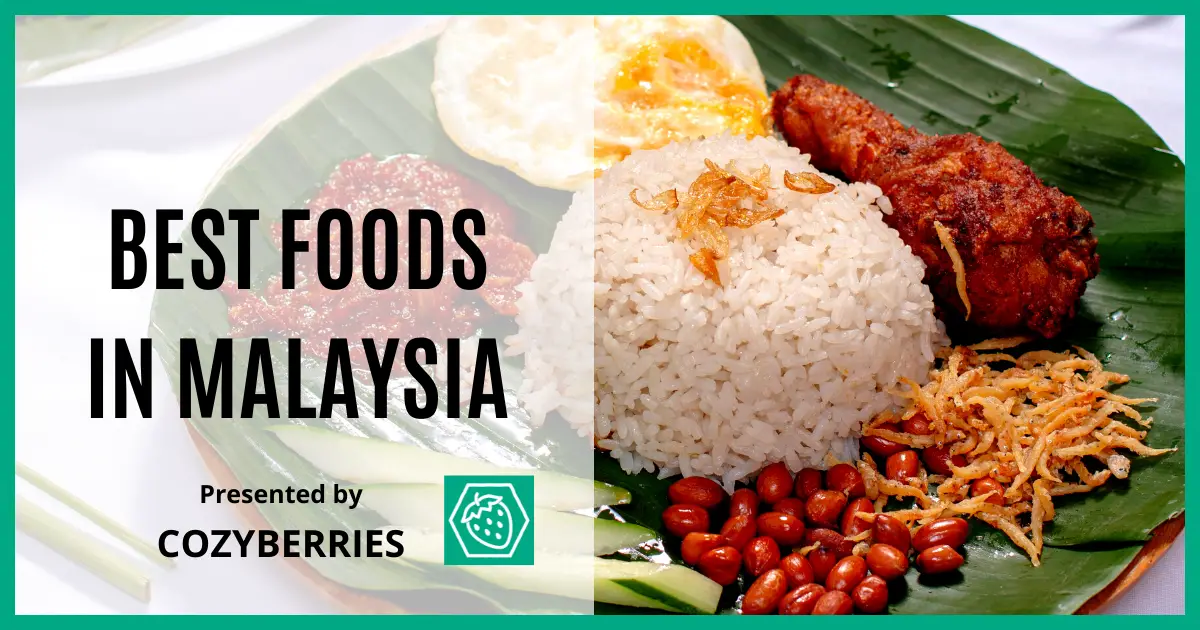 Best Foods in Malaysia | CozyBerries