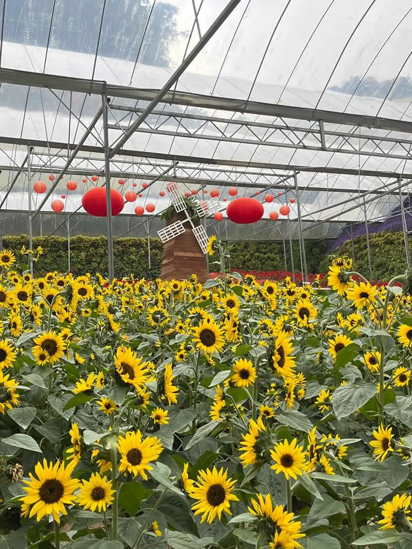 Flora Park Cameron Highlands Ticket Prices & Things To Do