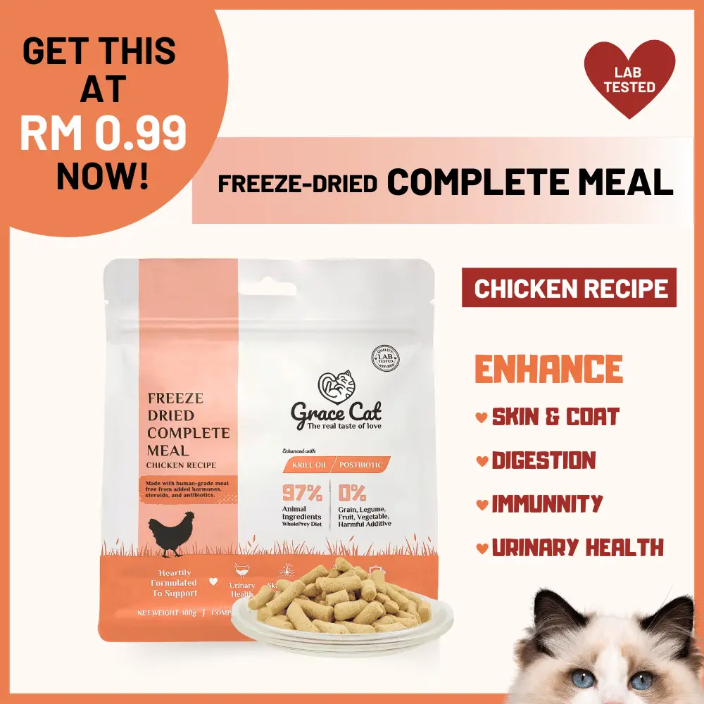 Best Food in Queensbay Mall: Top 20 Restaurants To Visit!