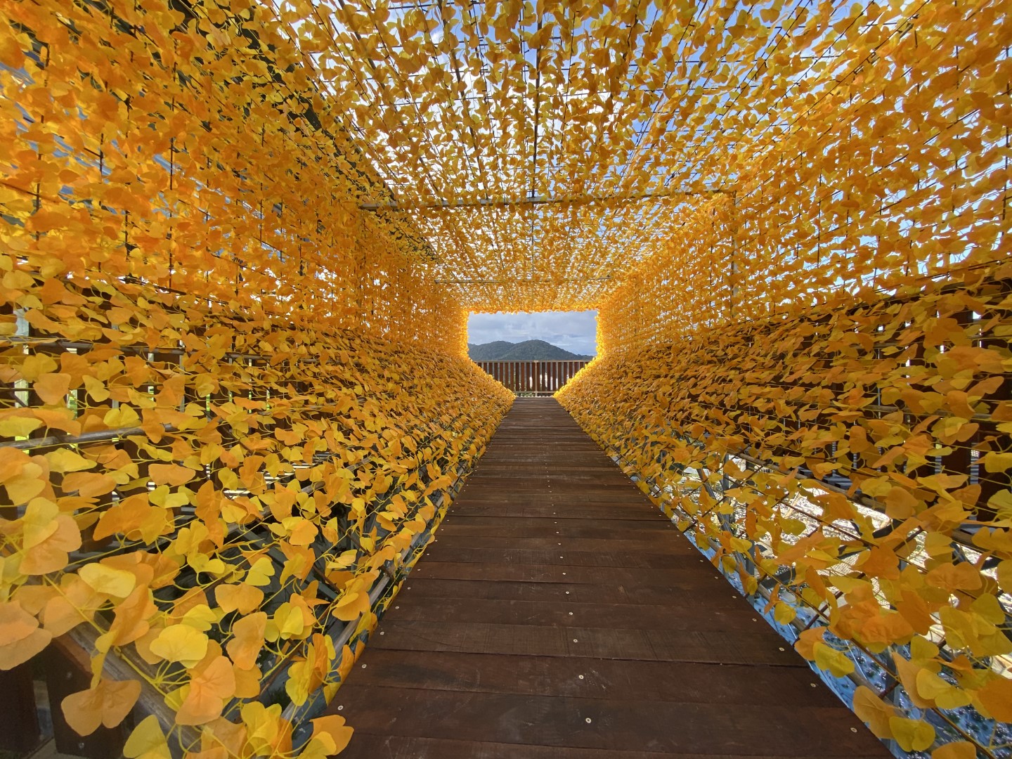 Flora Park Cameron Highlands Ticket Prices & Things To Do