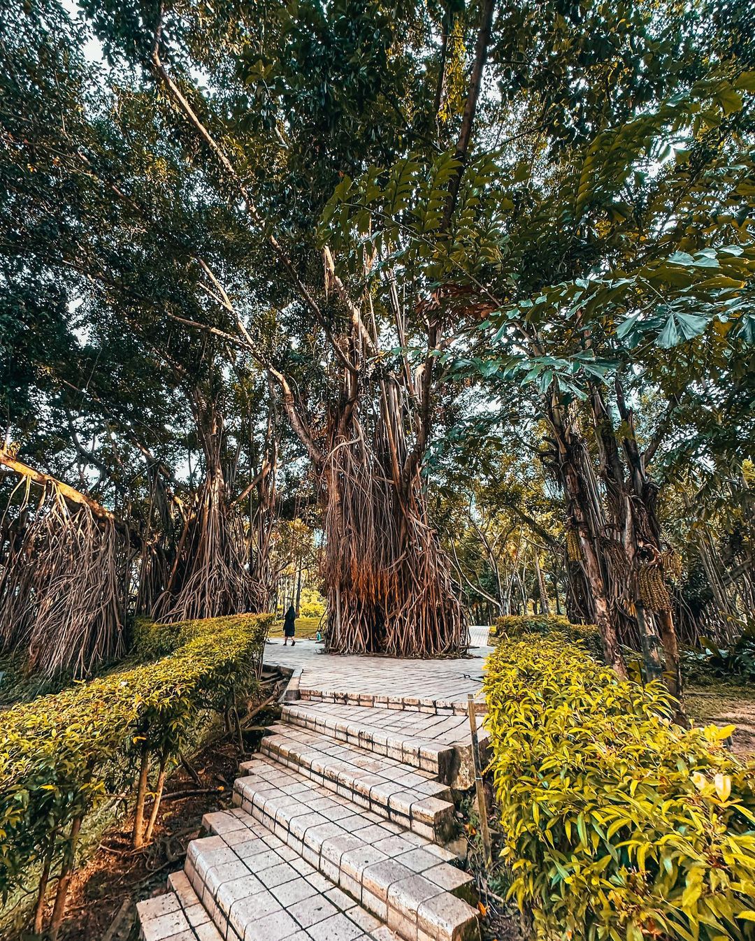 KLCC Park: Let's Take A Look Into This Beautiful Garden!