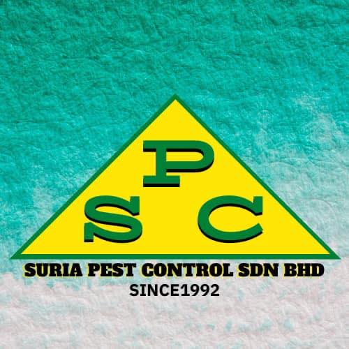 27 Best Pest Control Services in Malaysia